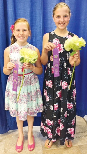 Ward County 4-H State Fair Clothing Revue results announced | News ...
